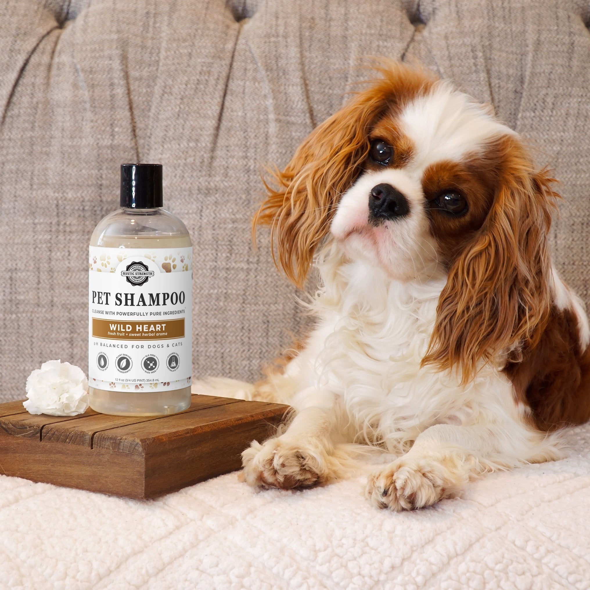 Grooming Supplies – Wiggies